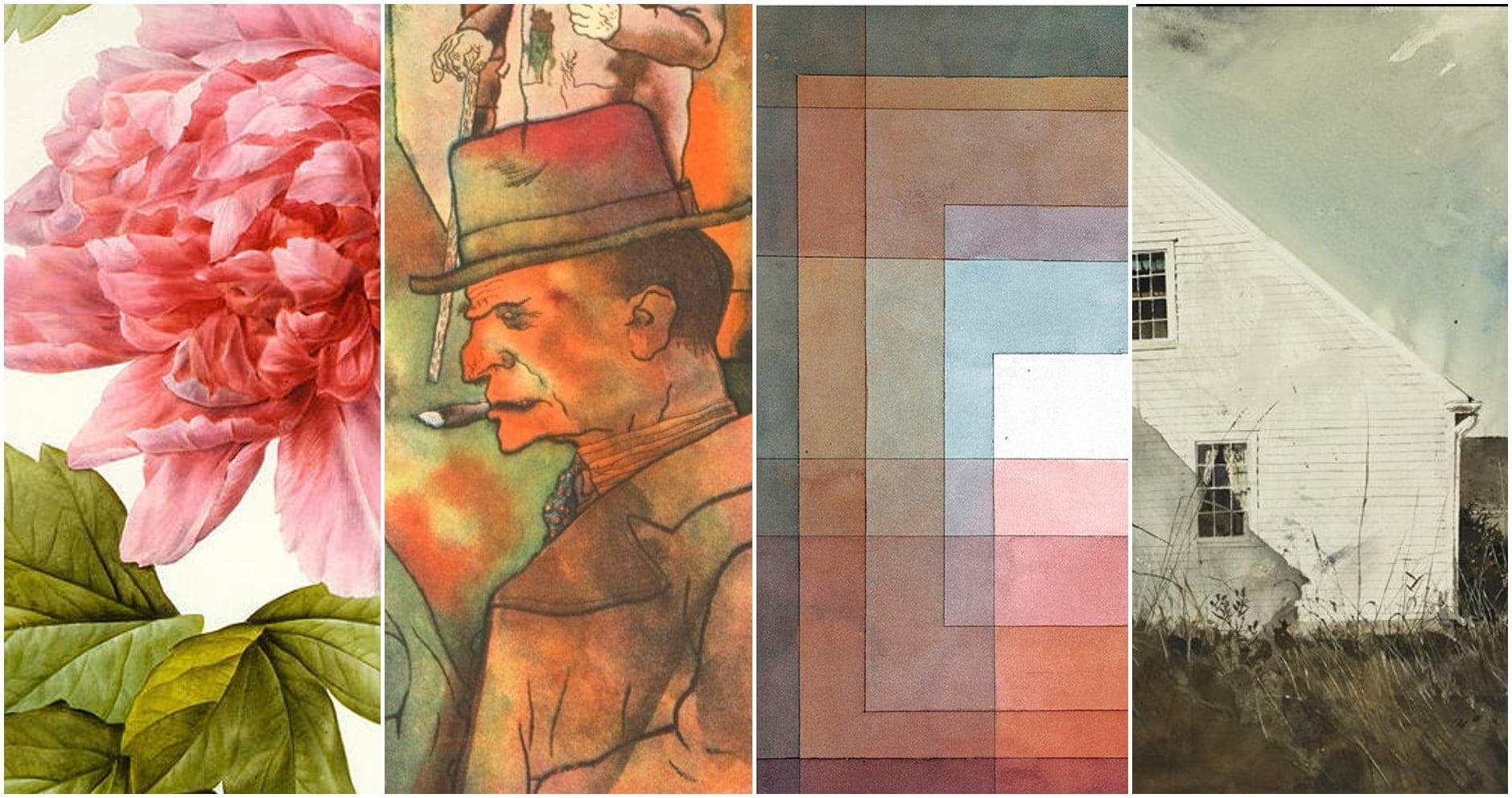 The Scope of Watercolour - David Krut Books