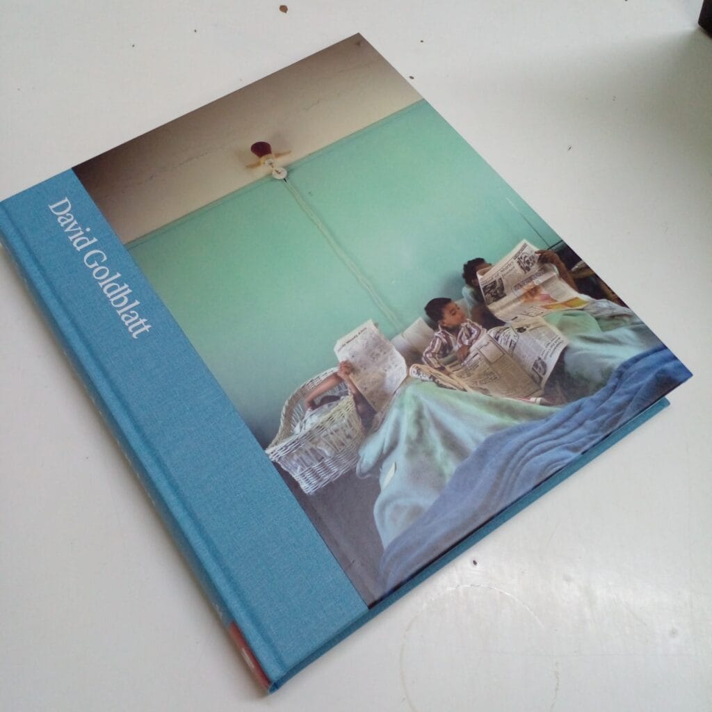 BOOK REVIEW | DAVID GOLDBLATT - NO ULTERIOR MOTIVE - David Krut Books