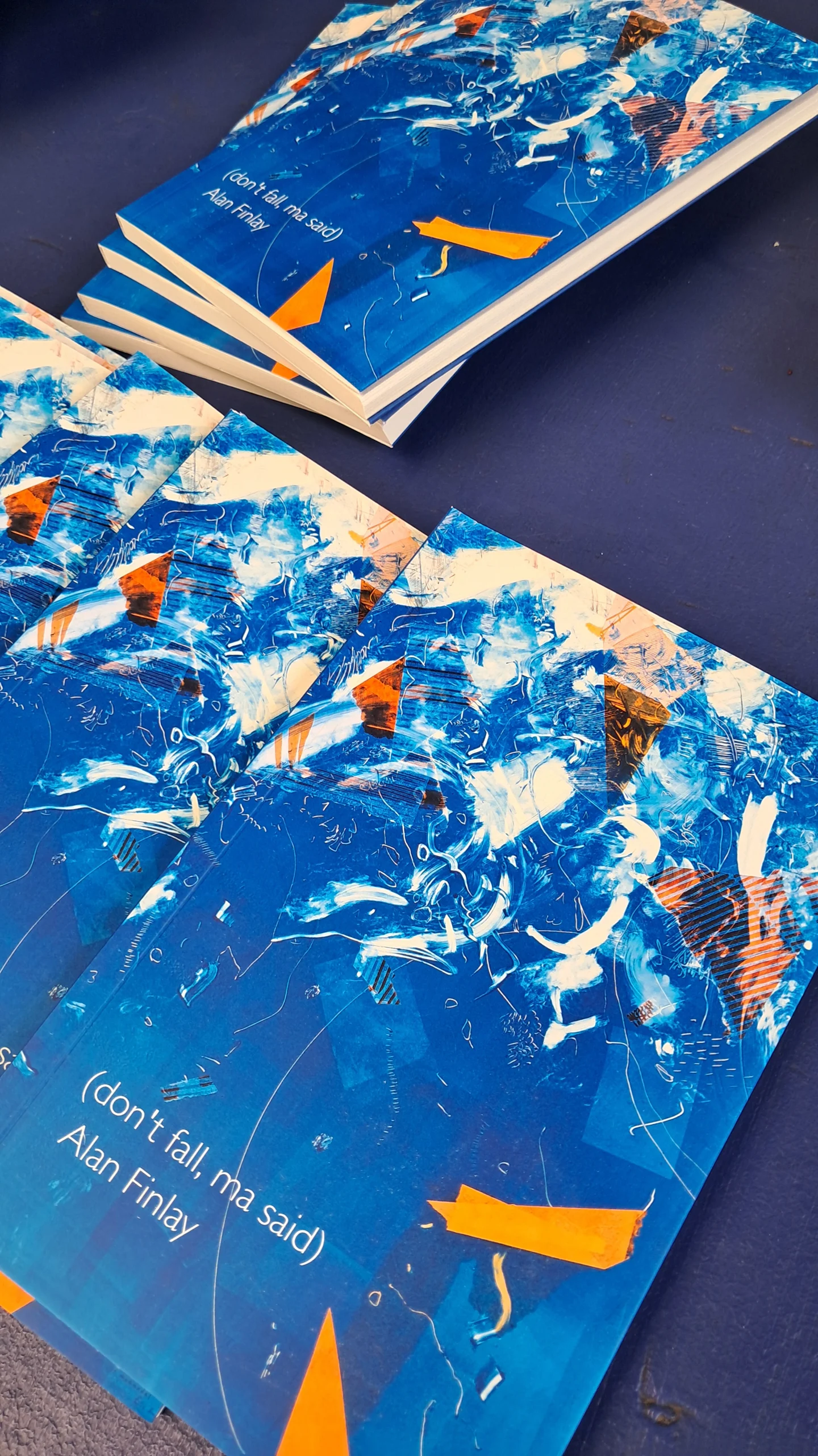 Book Launch | (don’t fall, ma said) by Alan Finlay - David Krut Books